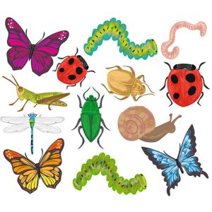 Mini Beast Hunt! - Beeches Infant School